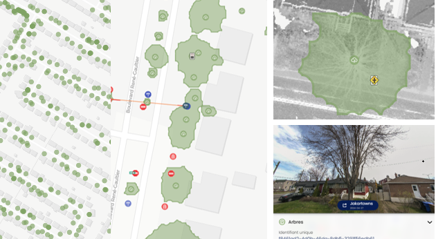 Enhancing Urban Forests: The Key Role of Canopy Cover!